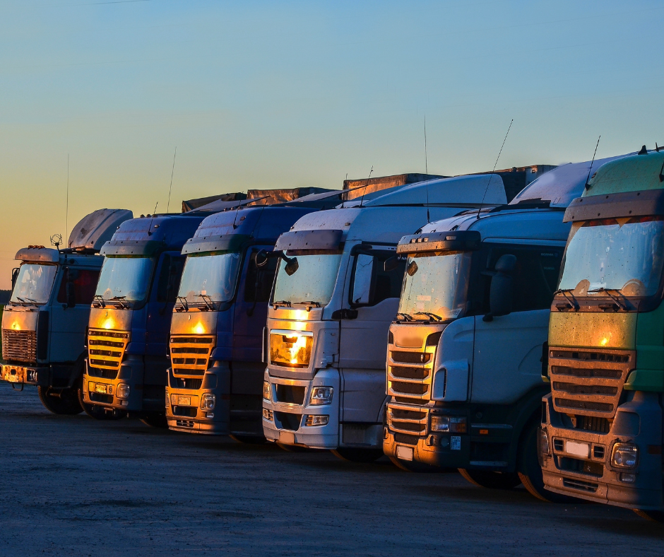 A Better Approach to Business and Family | Komodo Logistics - Rotherham ...